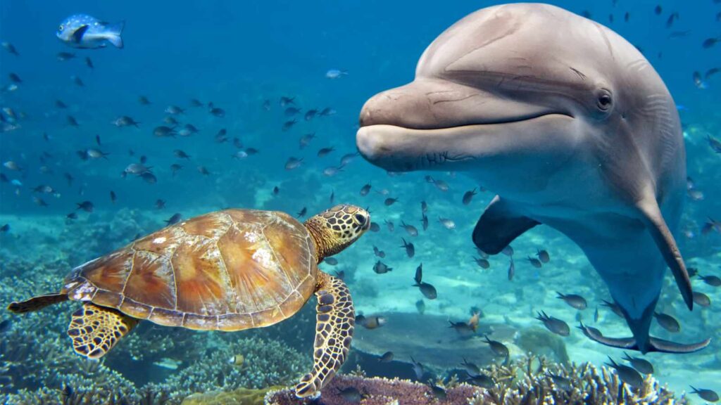 15 Animals You Cannot Legally Own as Pets in the US - Inspired by Insiders