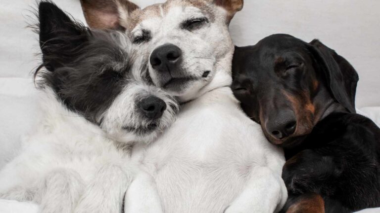 15 American Phrases That Confuse Foreigners - Inspired by Insiders