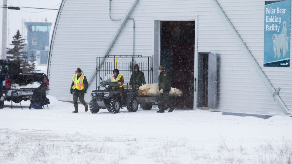 15 Weird Facts About Canada You Probably Didn't Know - Inspired by Insiders